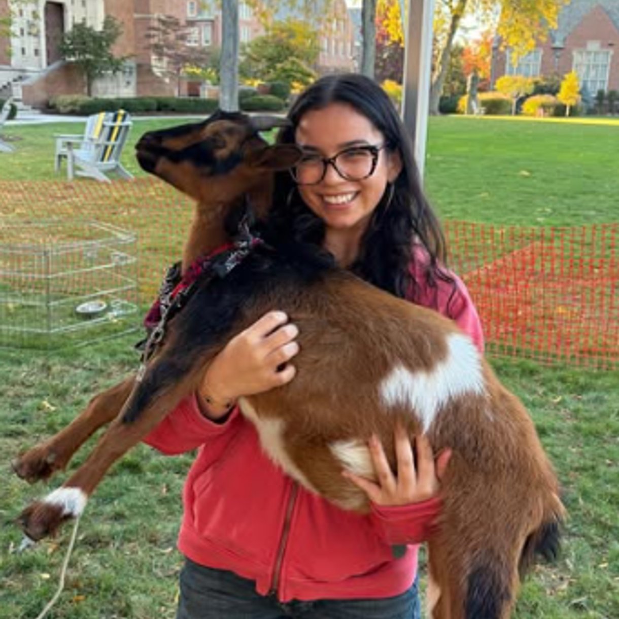 Goats, Bunnies, and Ducks: A Look at the Semester's Most Wholesome ...