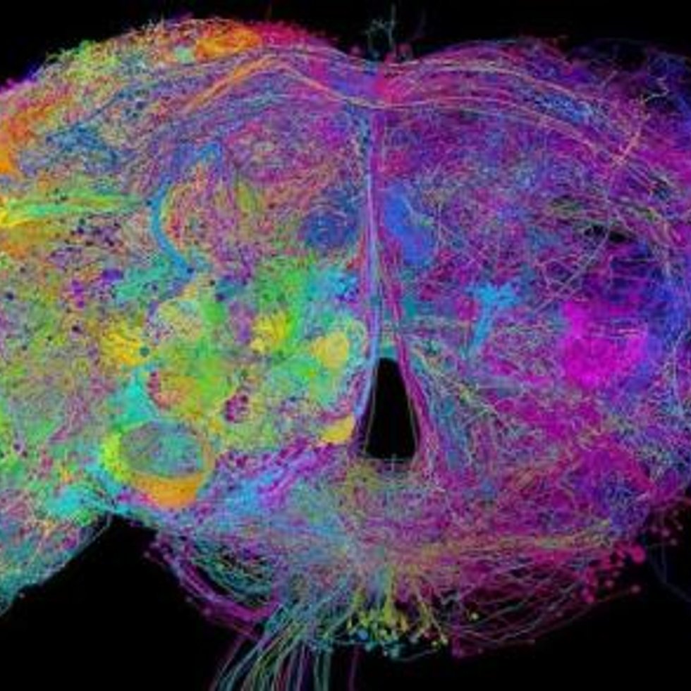 JCU Introduces Neuroscience Major, Expanding on the Strength of its Interdisciplinary ...